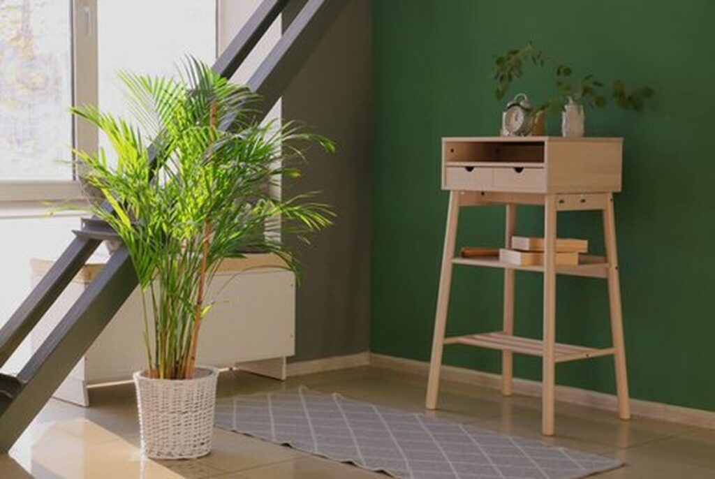 25 Refreshing Home Decor Ideas with Indoor Palms That Elevate Any Space