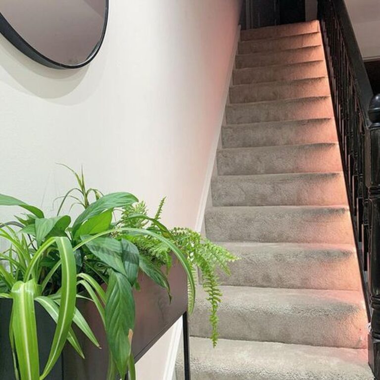 21 Stunning Staircase with Plant Ideas to Refresh Your Home