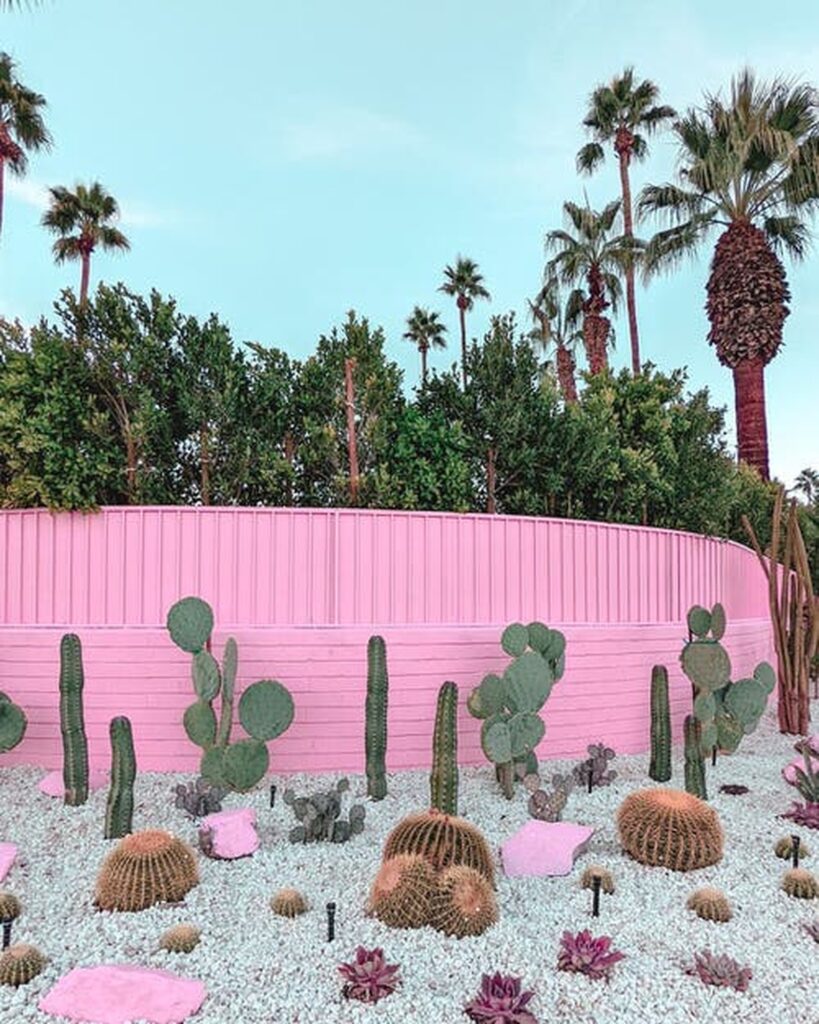 35 Stunning Desert Landscaping Ideas Pictures to Transform Your Yard