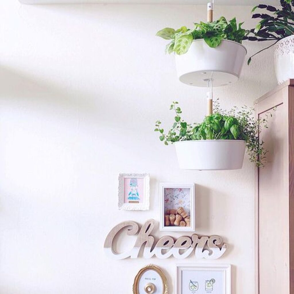 27 Stunning Ways IKEA Pots Transform Your Indoor Plants