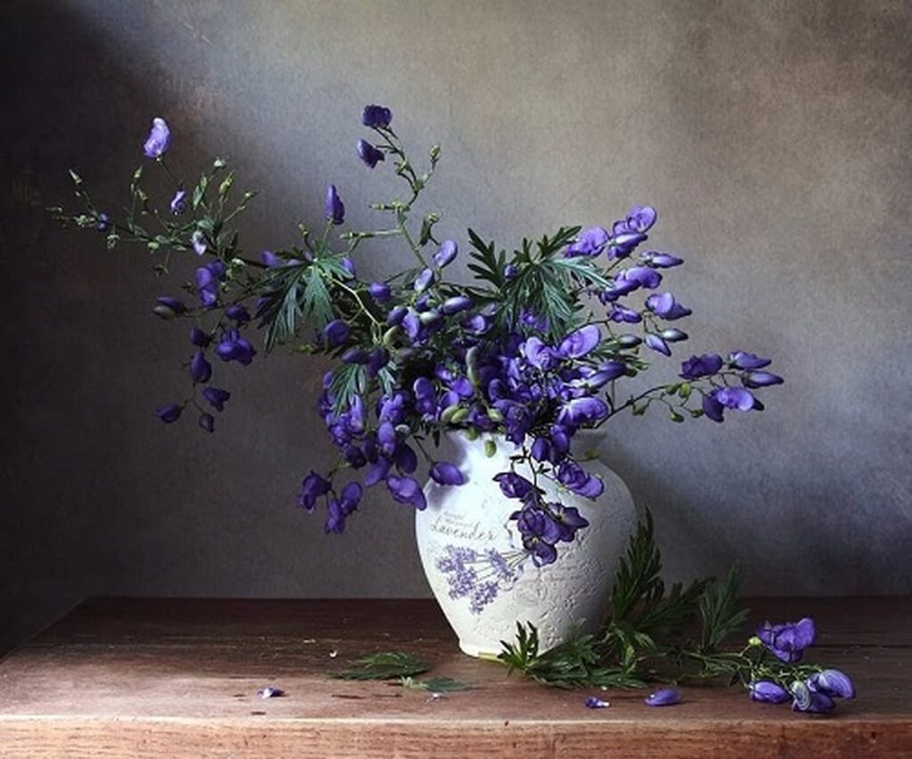 36 Gorgeous Violet Flowers to Brighten Your Garden Today