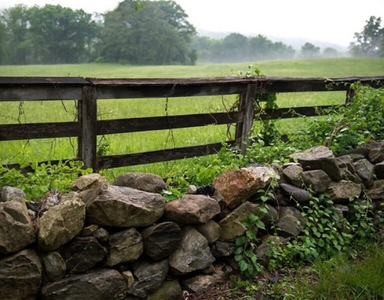 32 Charming Vegetable Garden Fence Ideas That Wow