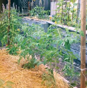 25 Charming DIY Rope Projects for Garden Enthusiasts