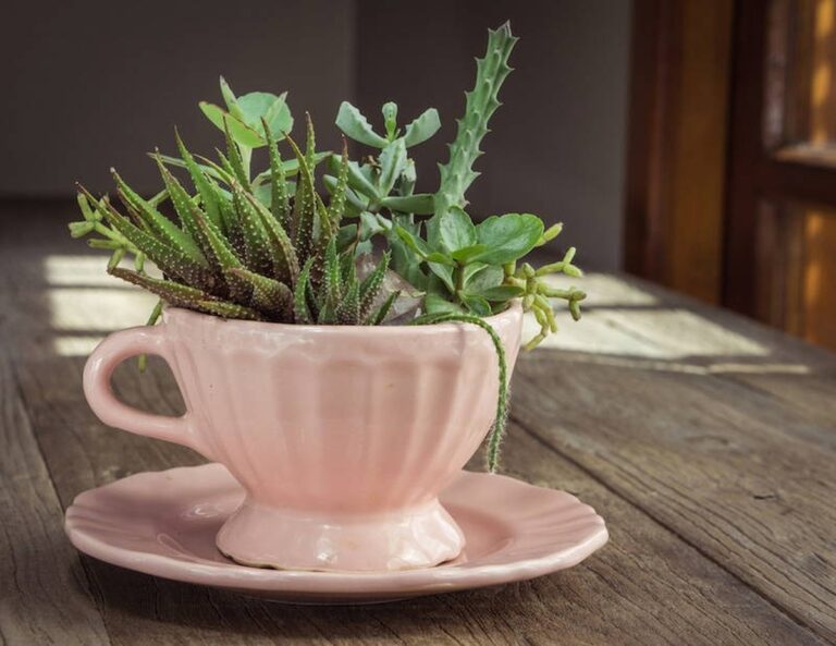 18 Timeworn-Inspired Plant Decor Ideas with Retro Appeal