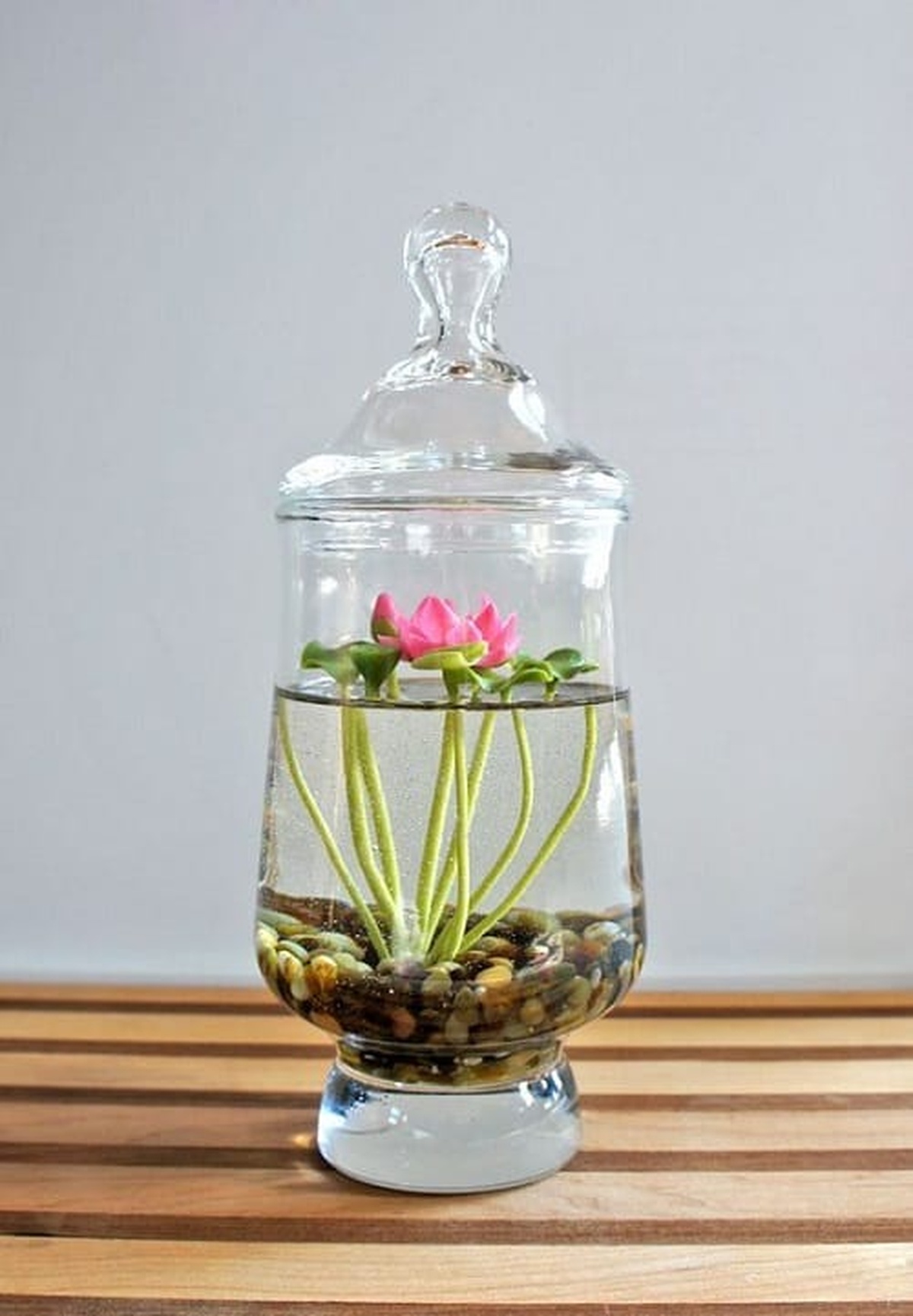 10 Beautiful Water Flowers for Containers and Vases
