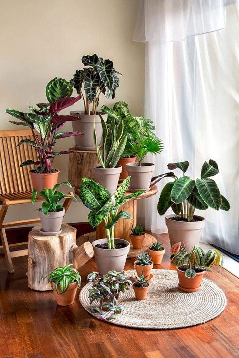 40 Stunning Indoor Plant Corner Ideas That Refresh Your Home