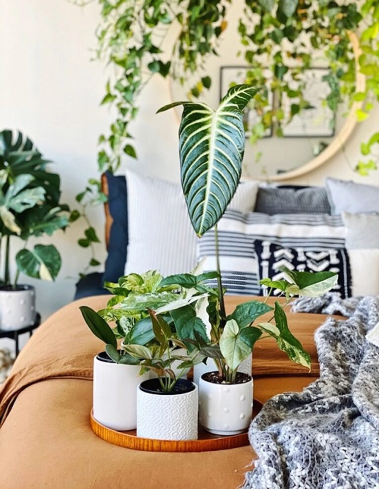 12 Gorgeous Ways to Create a Lush Indoor Garden at Home