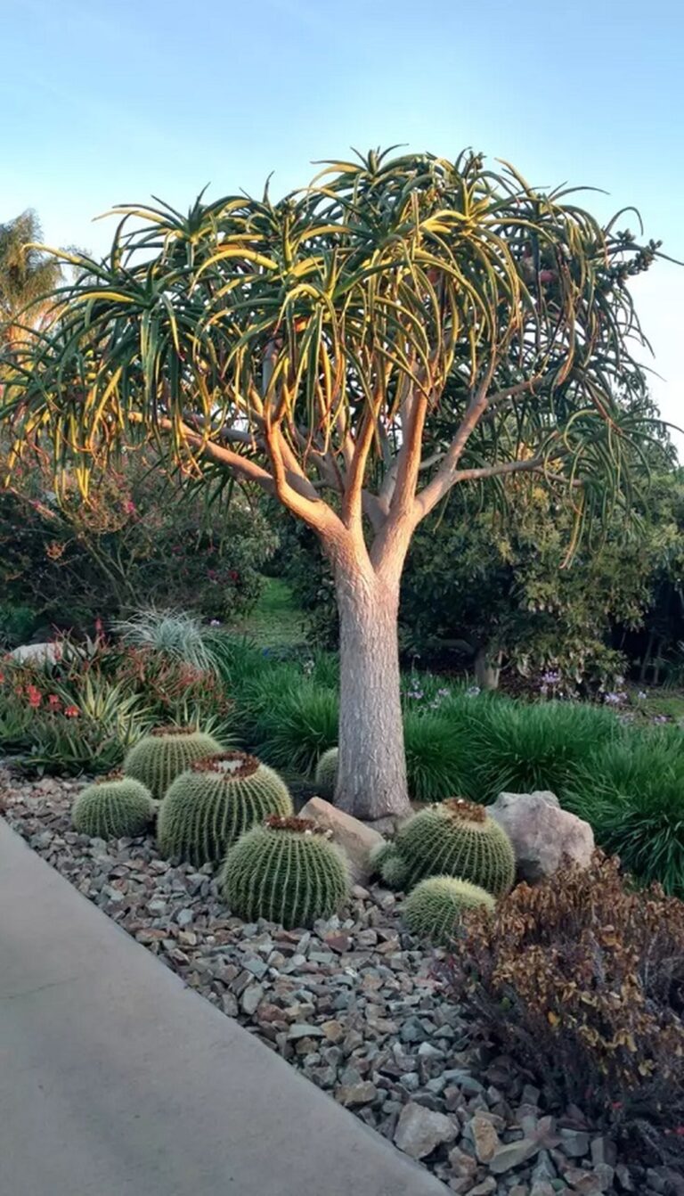 20 Delightful DIY Tree Projects To Transform Your Backyard