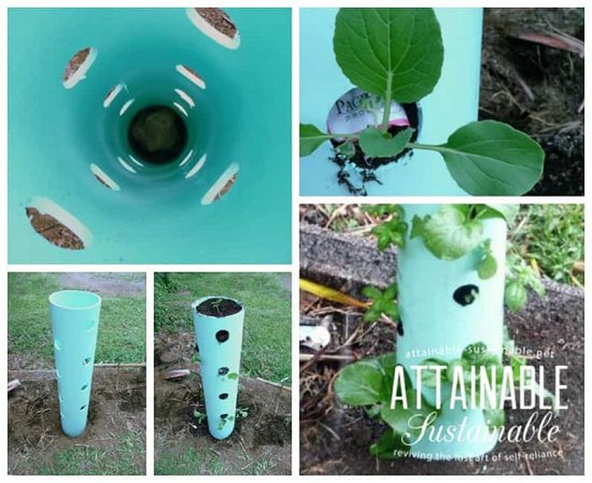 15 Stunning DIY PVC Pipe Planters for Your Dream Garden