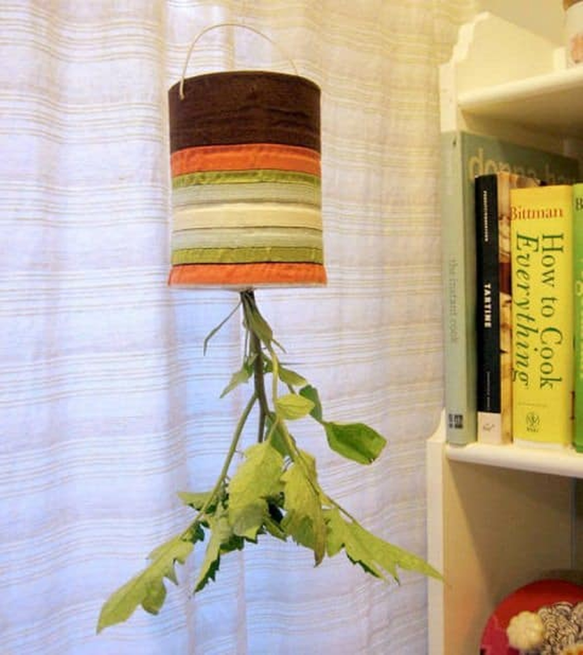 8 Charming DIY Upside Down Herb Planter Projects to Try Today