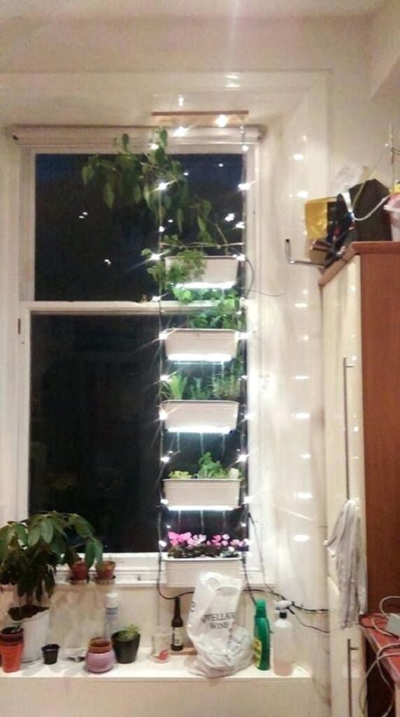 16 Efforless DIY Indoor Window Gardens You'll Love