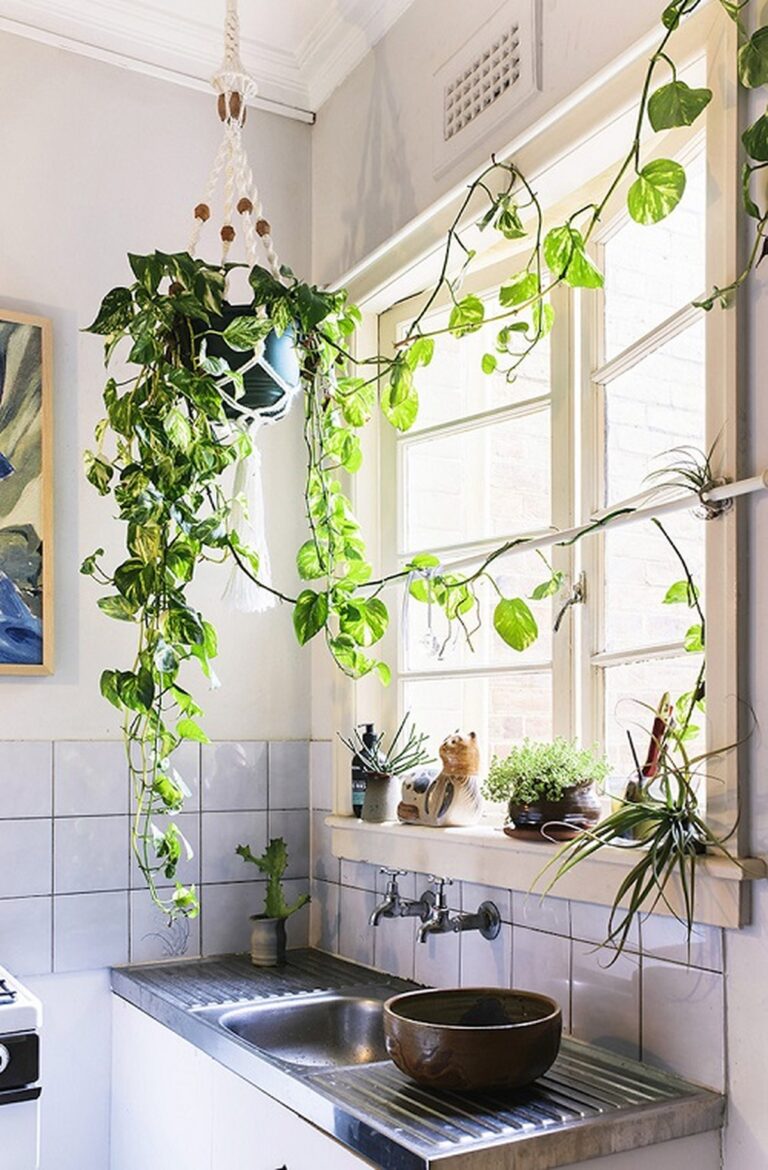 33 Gorgeous Hanging Plants for Front Windows to Brighten Your Home