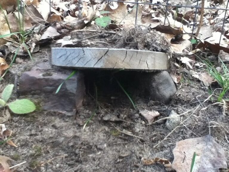 23 Cozy DIY Frog House Ideas That Keep Garden Pests Away