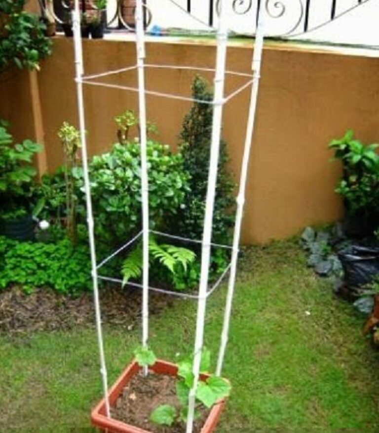 23 Beautiful DIY Plant Trellises for Pots Anyone Can Make