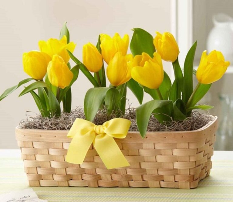 24 Gorgeous Flowers to Bring on Your First Date