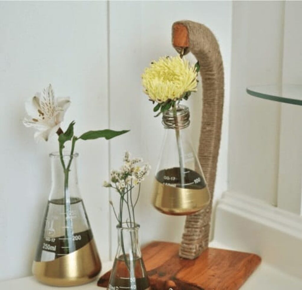 25 Creative Plant Propagation Stations for Eco-Friendly Homes