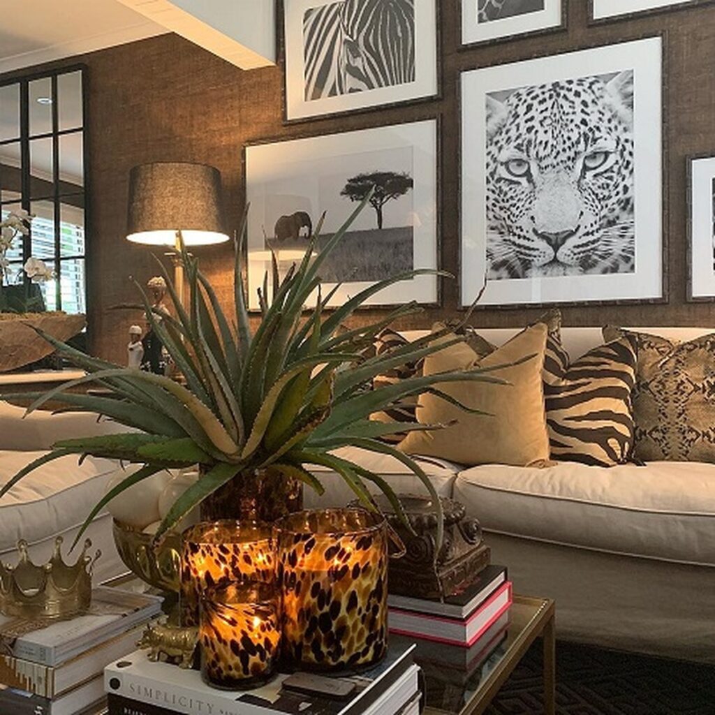 27 Stunning Aloe Vera Plant Display Ideas Indoors for Your Home