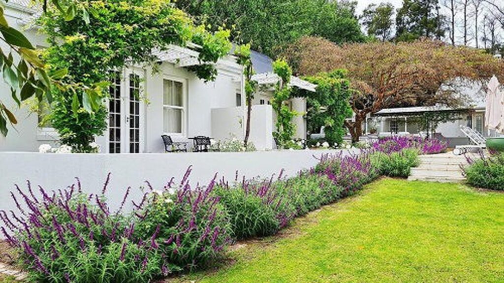 25 Stunning Lavender Garden Design Ideas for Perfect Landscaping