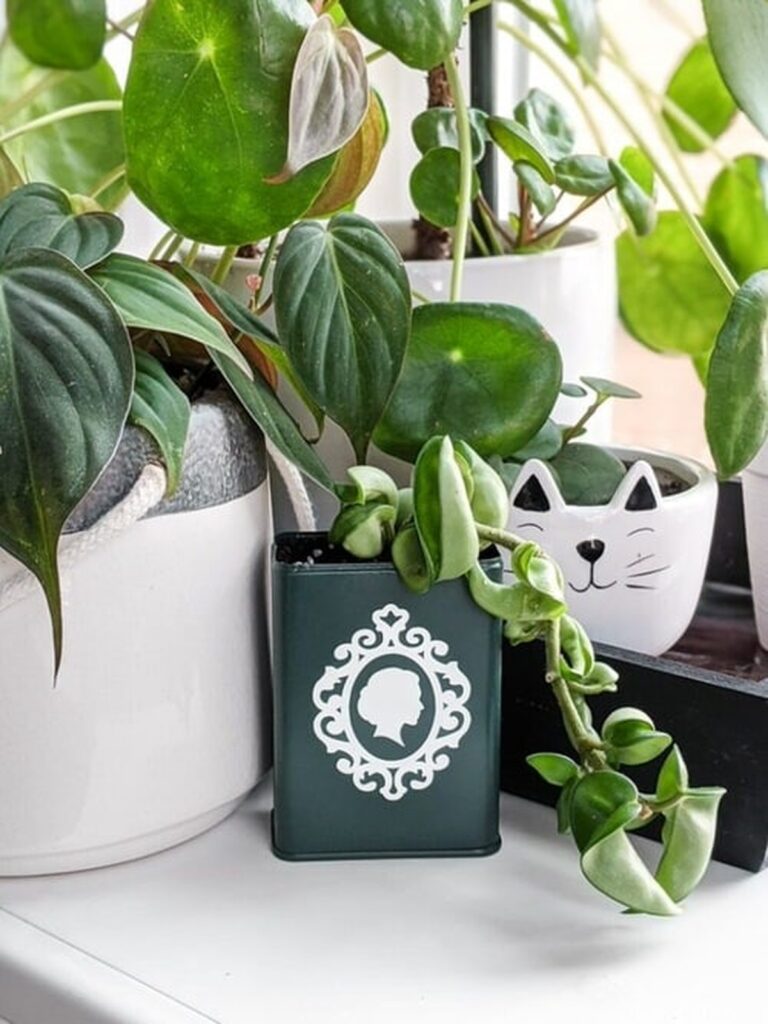 20 Brilliant Ways to Transform Cheap Pots into Expensive DIY Planters