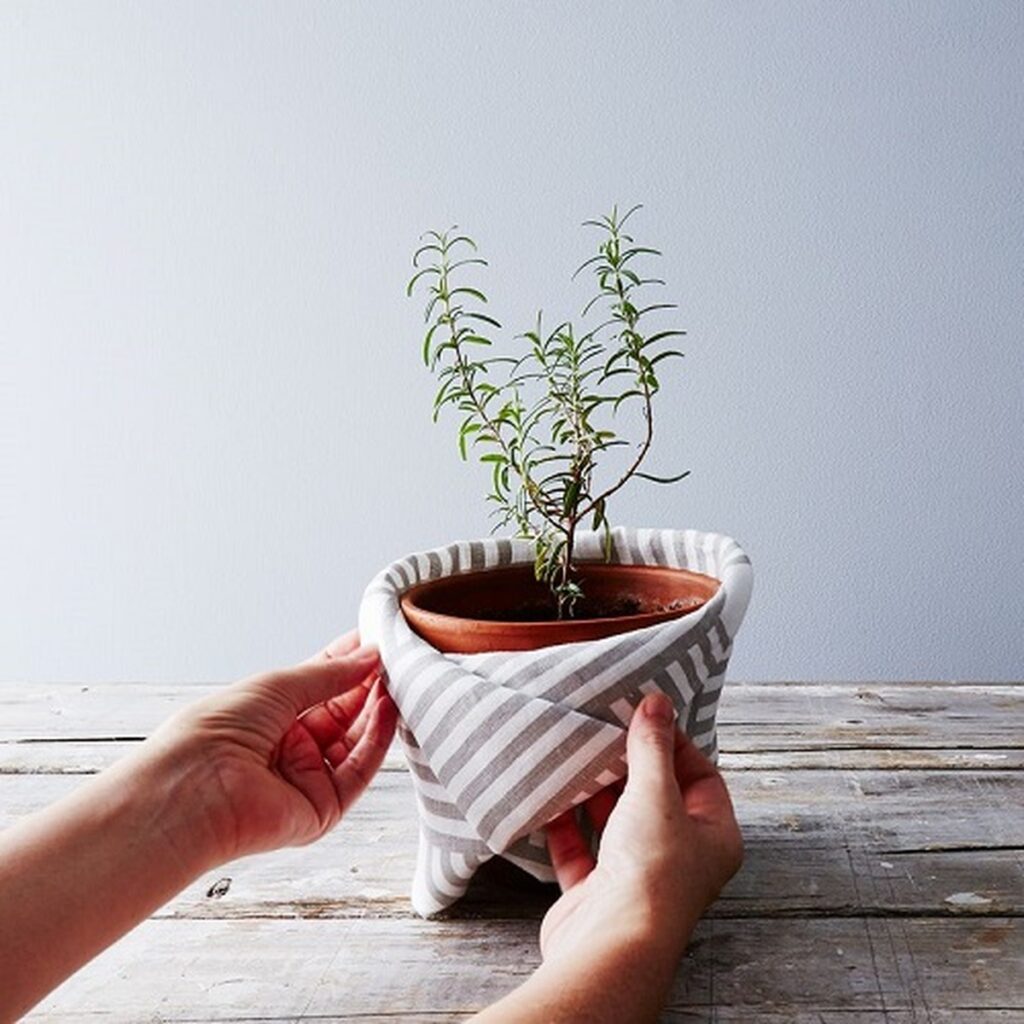 36 Gorgeous Wrapped Potted Plant Centerpiece Ideas That Dazzle