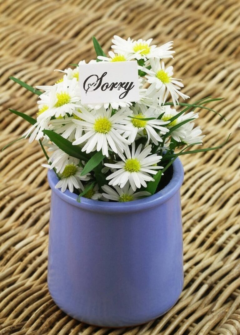 19 Beautiful Flowers That Mean Forgiveness for Heartfelt Apologies