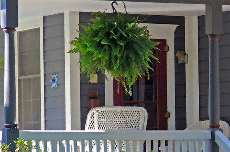 22 Stunning Ways to Decorate Your Home with Big & Lush Ferns