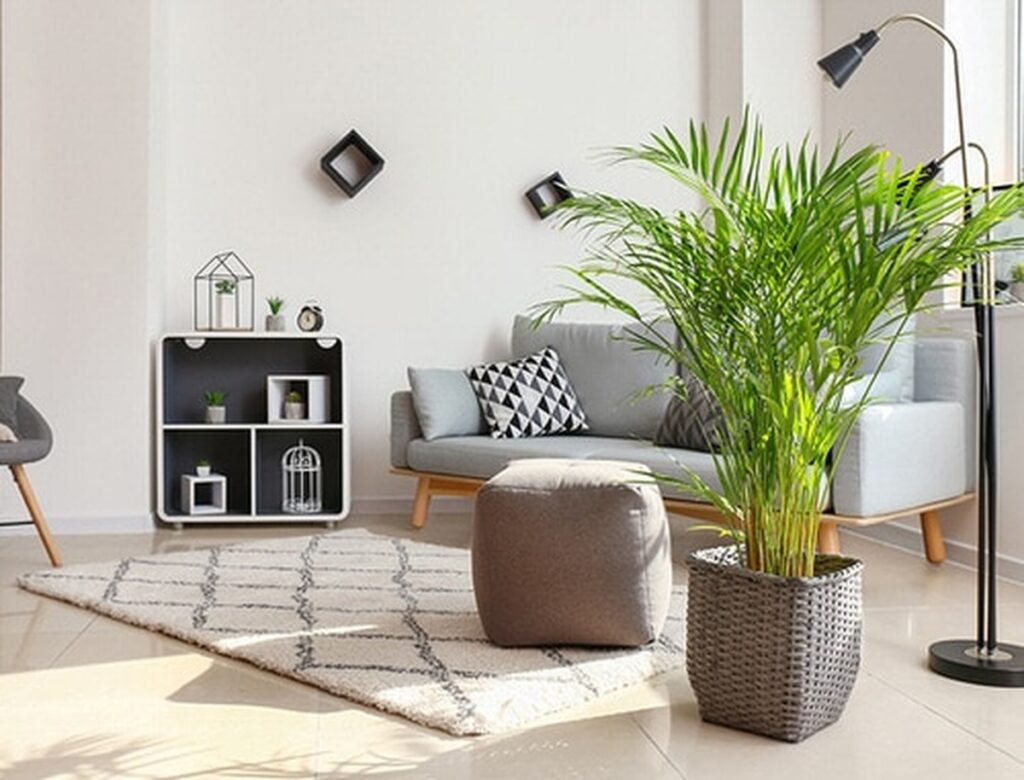 25 Refreshing Home Decor Ideas with Indoor Palms That Elevate Any Space
