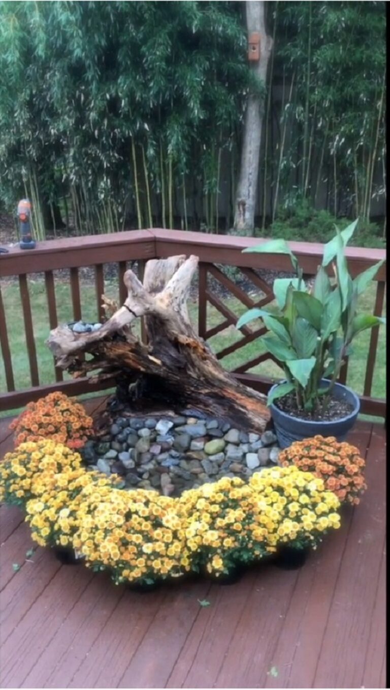 30 Brilliant Tree Stump Ideas for the Garden to Transform Your Space