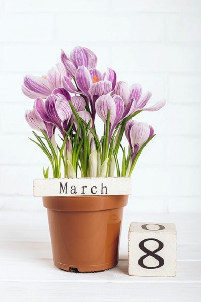 17 Amazing Cup Shaped Flowers for Your Dream Garden