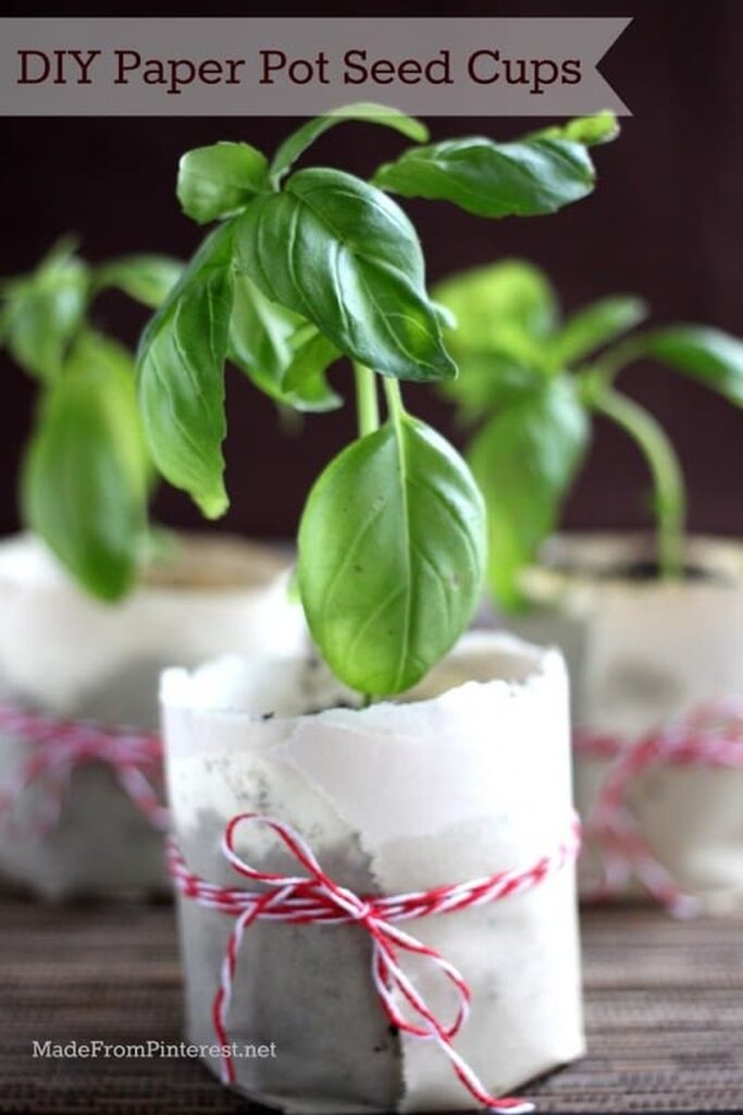 14 Charming Ways to Recycle Papers Into DIY Paper Plant Pots