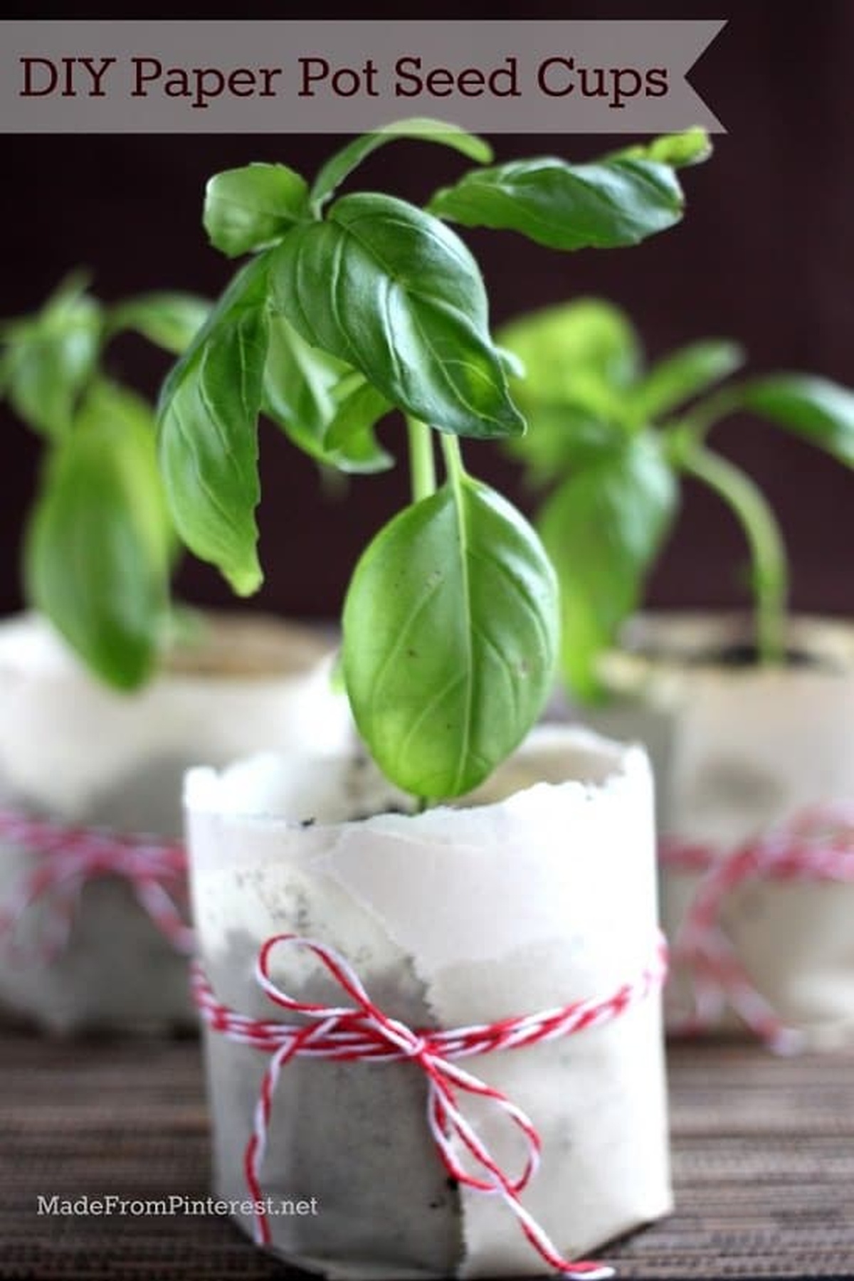 14 Charming Ways to Recycle Papers Into DIY Paper Plant Pots