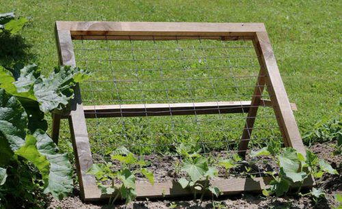 14 Charming DIY Zucchini Trellis Ideas for Your Garden