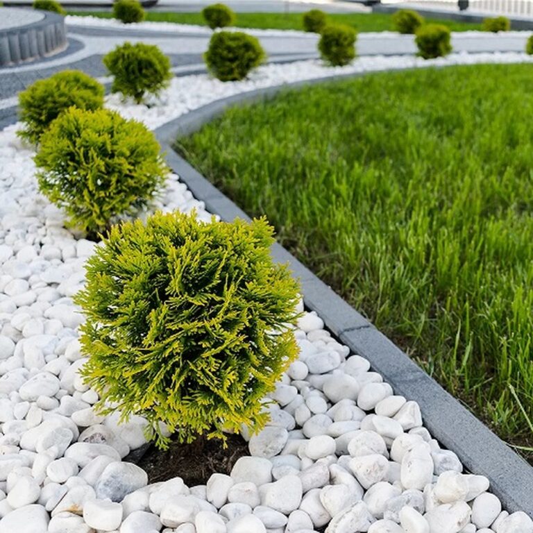25 Perfect Gardens with White Rocks That Will Inspire You