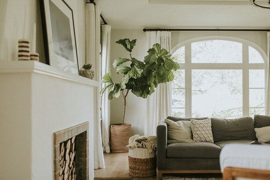 40 Stunning Indoor Plant Corner Ideas That Refresh Your Home