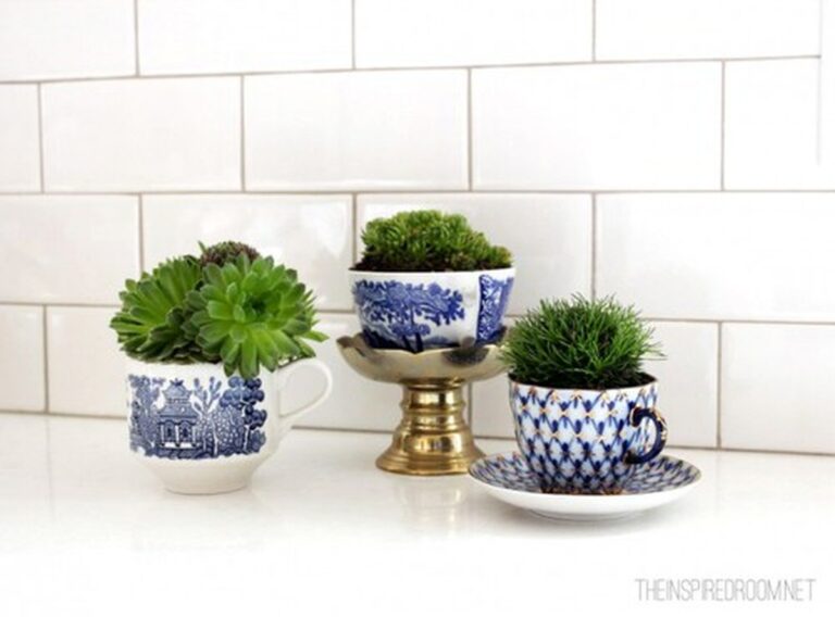 31 Adorable DIY Teacup Garden Ideas Everyone Will Love