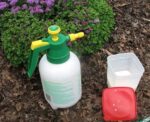 13 Best Ways to Get Rid of Thrips Easily and Effectively