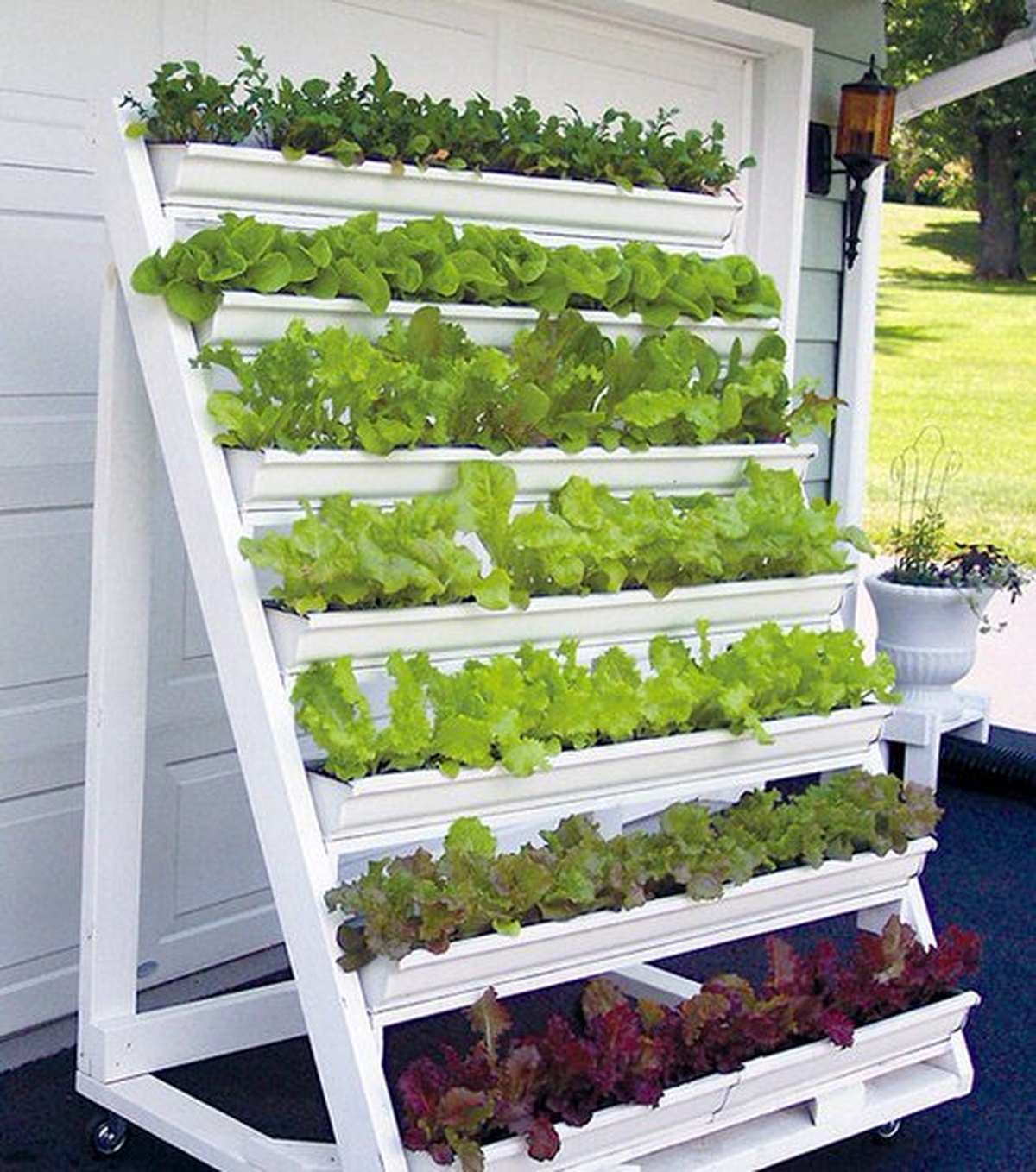 12 Fabulous DIY Vertical Lettuce Garden Ideas for Green Thumbs
