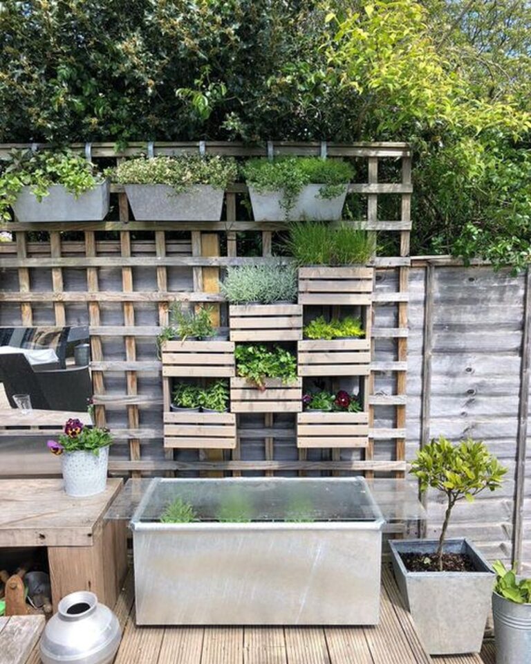 15 Delicious Edible Living Wall Ideas for Small Spaces