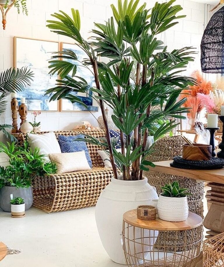 26 Enchanting Trees You Can Grow Indoors for a Cozy Oasis