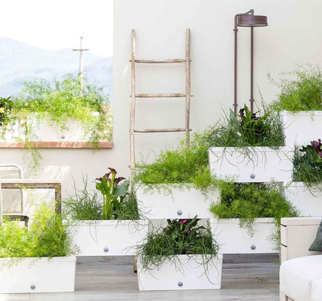 24 Charming DIY Planter with Privacy Screen Ideas to Try Today