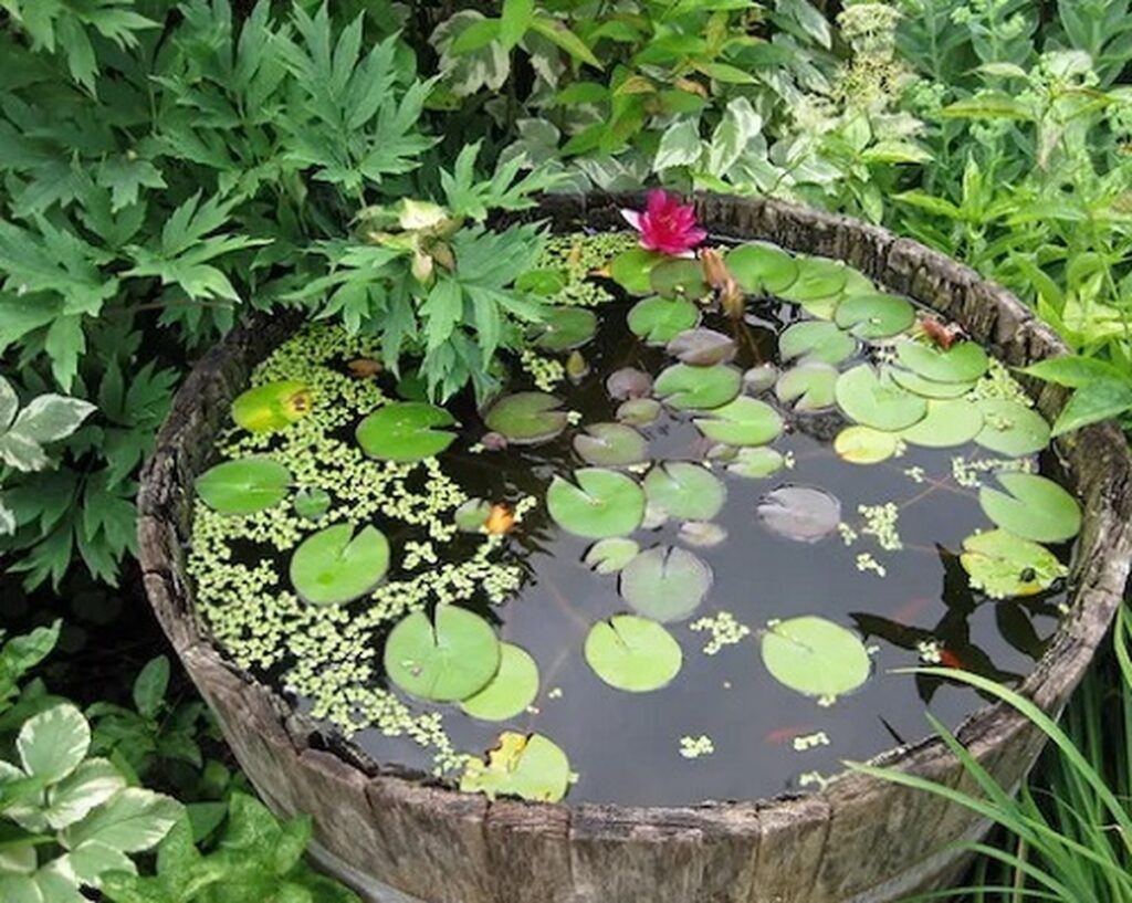 31 Gorgeous Plants For Barrels That Will Transform Your Garden