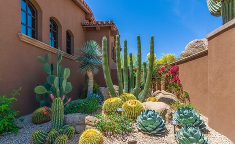 35 Stunning Desert Landscaping Ideas Pictures to Transform Your Yard