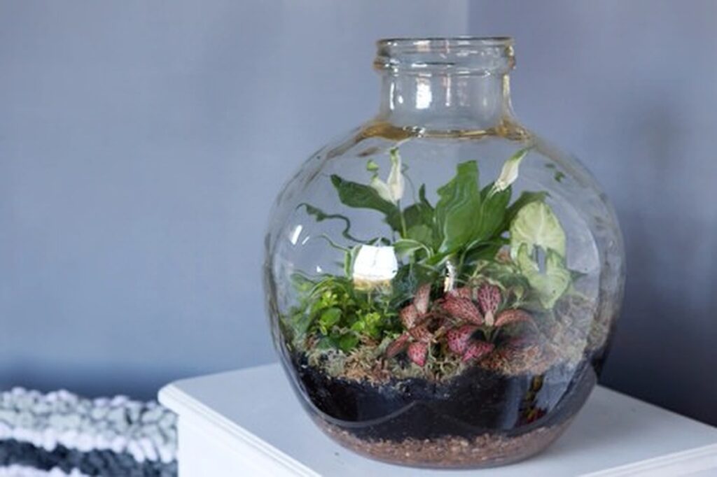 16 Stunning Sealed Bottled Garden Ideas for Indoor Magic