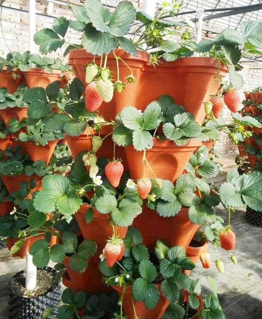 19 Stunning Tiered Garden Planter Ideas That Wow Every Time