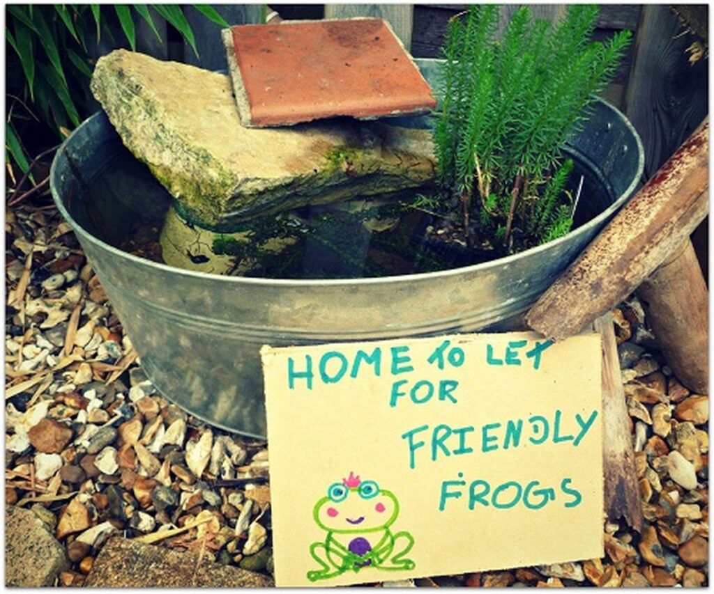 24 Easy DIY Container Water Garden Ideas to Try