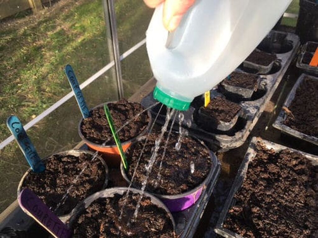 20 Delightful DIY Watering Can Ideas You Can Make for Free