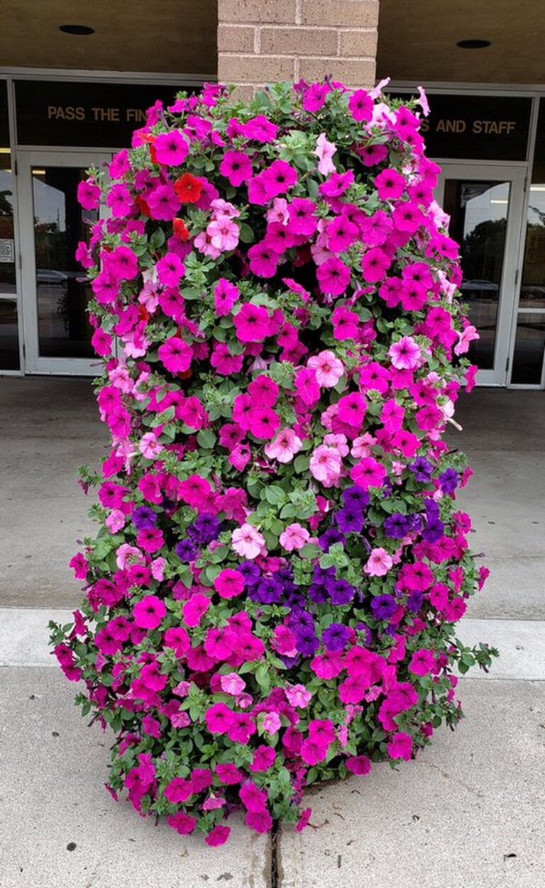 18 Delightful Things to Do with Petunias for Garden Magic
