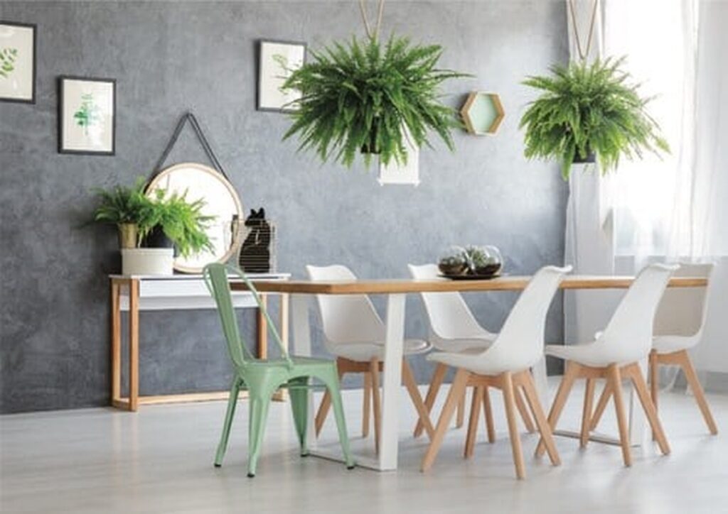 22 Stunning Ways to Decorate Your Home with Big & Lush Ferns