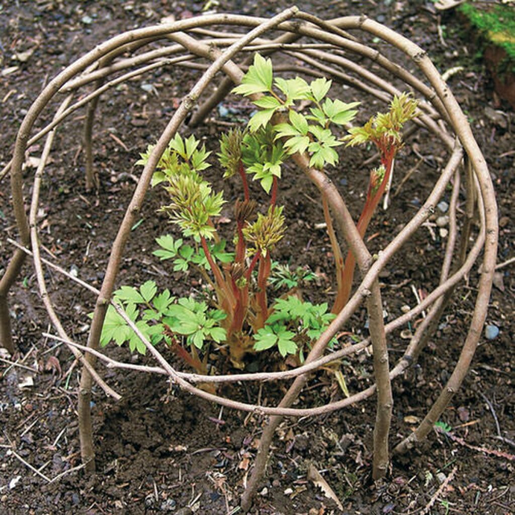 22 Charming DIY Garden Decor Ideas Using Tree Branches