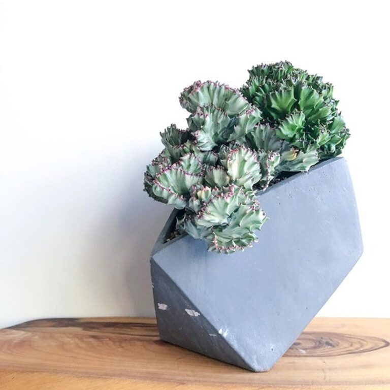 17 Amazing Plants That Look Like Human Body Parts